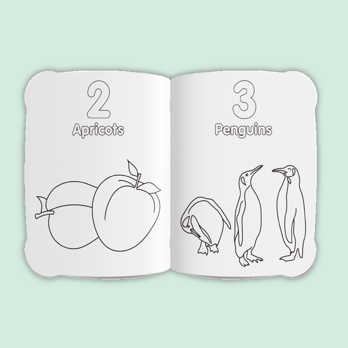 Activity & Colour Fun | Counting – Little Master